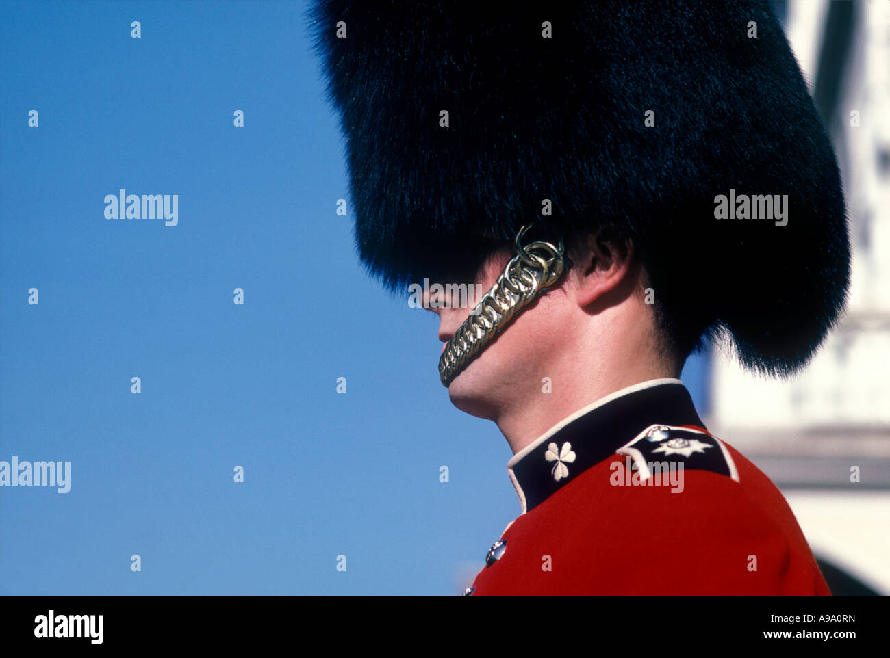 PROFILE OF SINGLE GUARDSMAN STANDING LONDON ENGLAND UK Stock Photo - Alamy