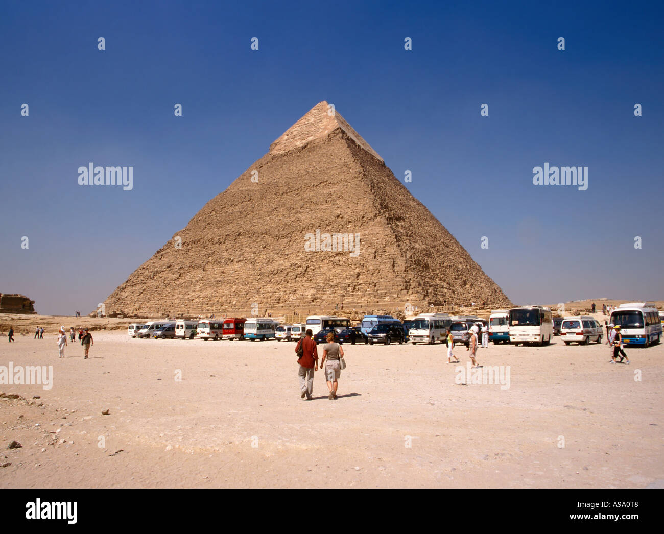 Buses with tourists by Pyramids Egypt Stock Photo - Alamy