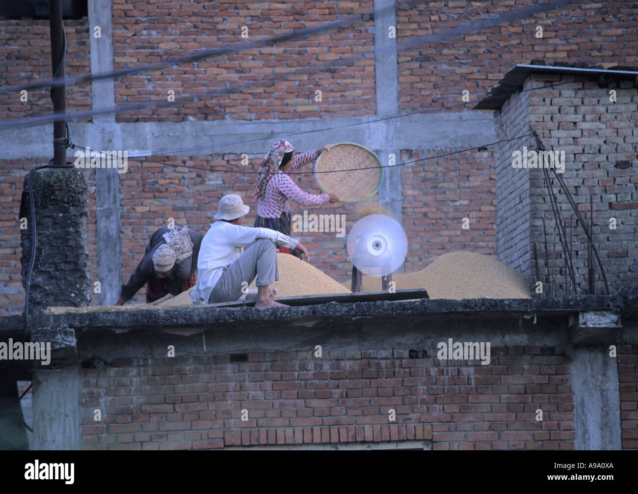 Nepali people sifting corn on running fan on the roof of a house ...