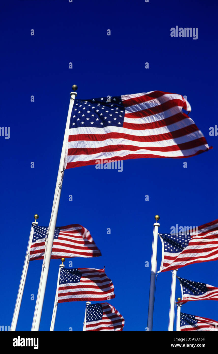 ROWS OF UNITED STATES FLAGS BLUE SKY Stock Photo - Alamy