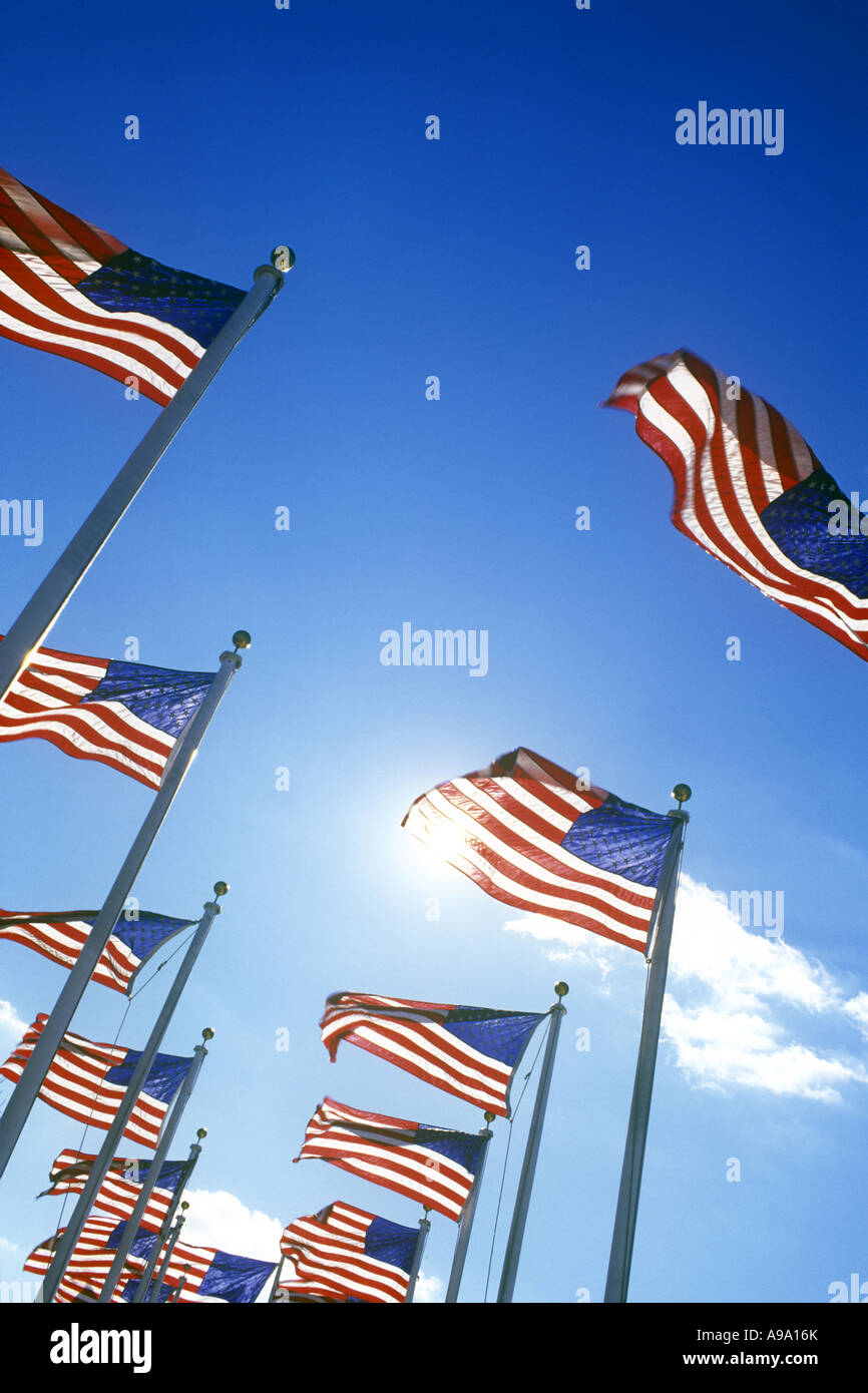 ROWS OF UNITED STATES FLAGS BLUE SKY Stock Photo - Alamy