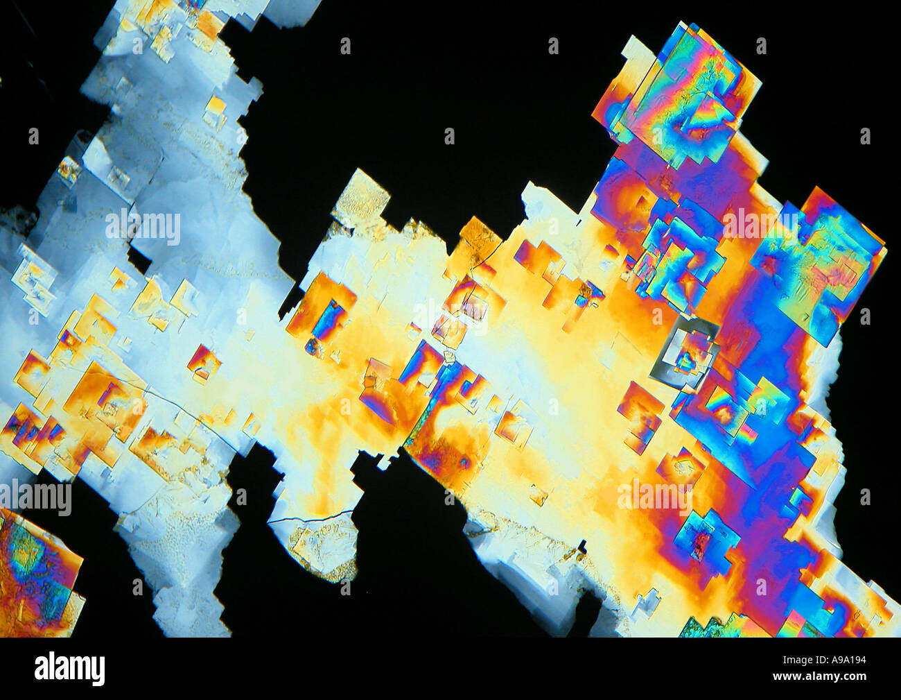 Crystals of 5 Hydroxy Tryptamine Serotonin from aqueous soln Crossed ...