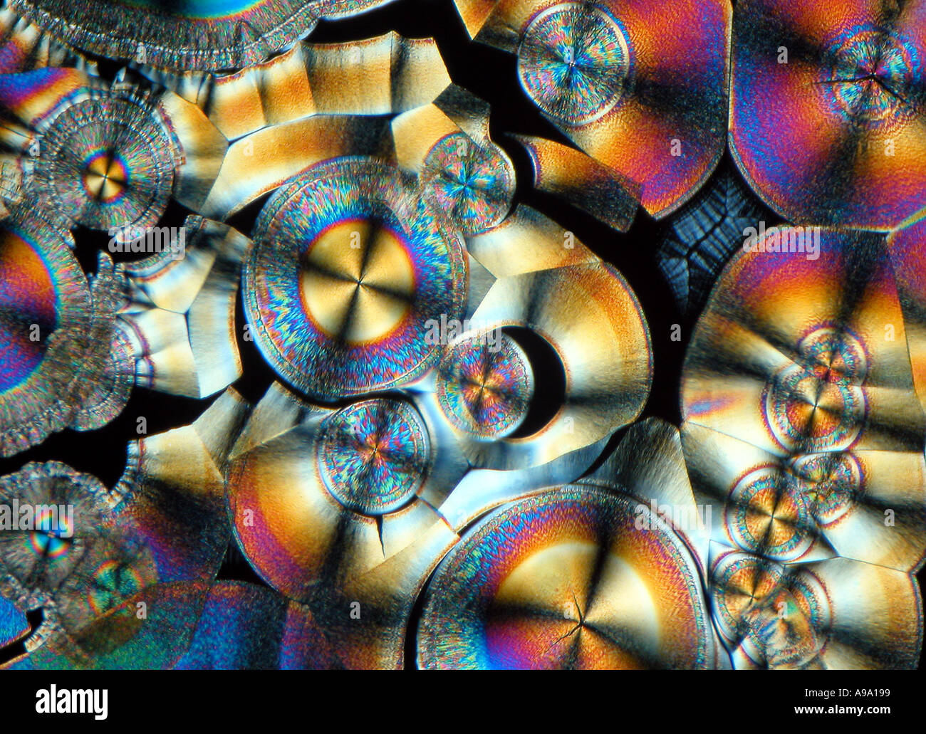 Microscopic Crystals Vitamin C High Resolution Stock Photography and ...