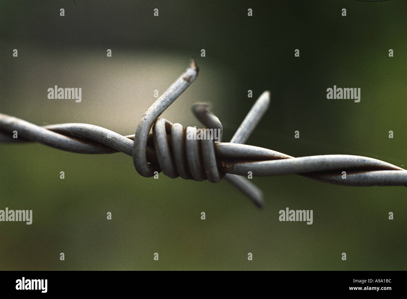 Safetybarb hi-res stock photography and images - Alamy