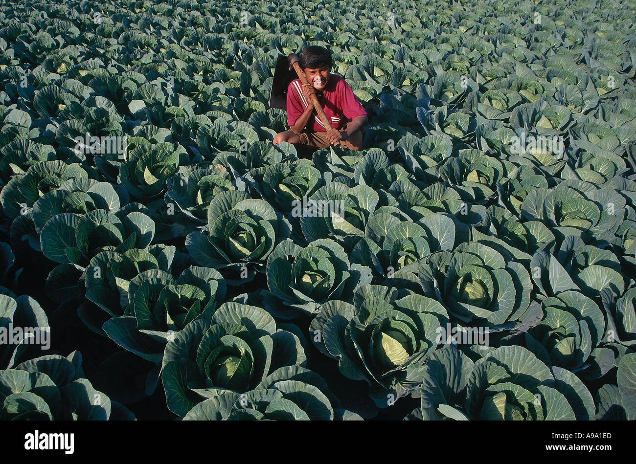 INDIA Gujarat Bhujodi Stock Photo - Alamy