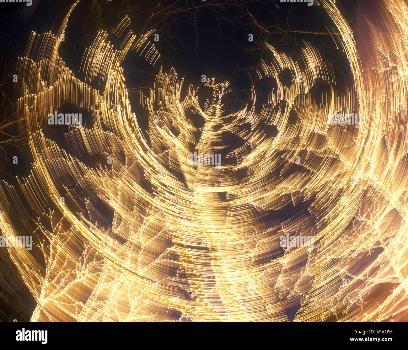 LIGHT TRAILS ON TREES Stock Photo - Alamy
