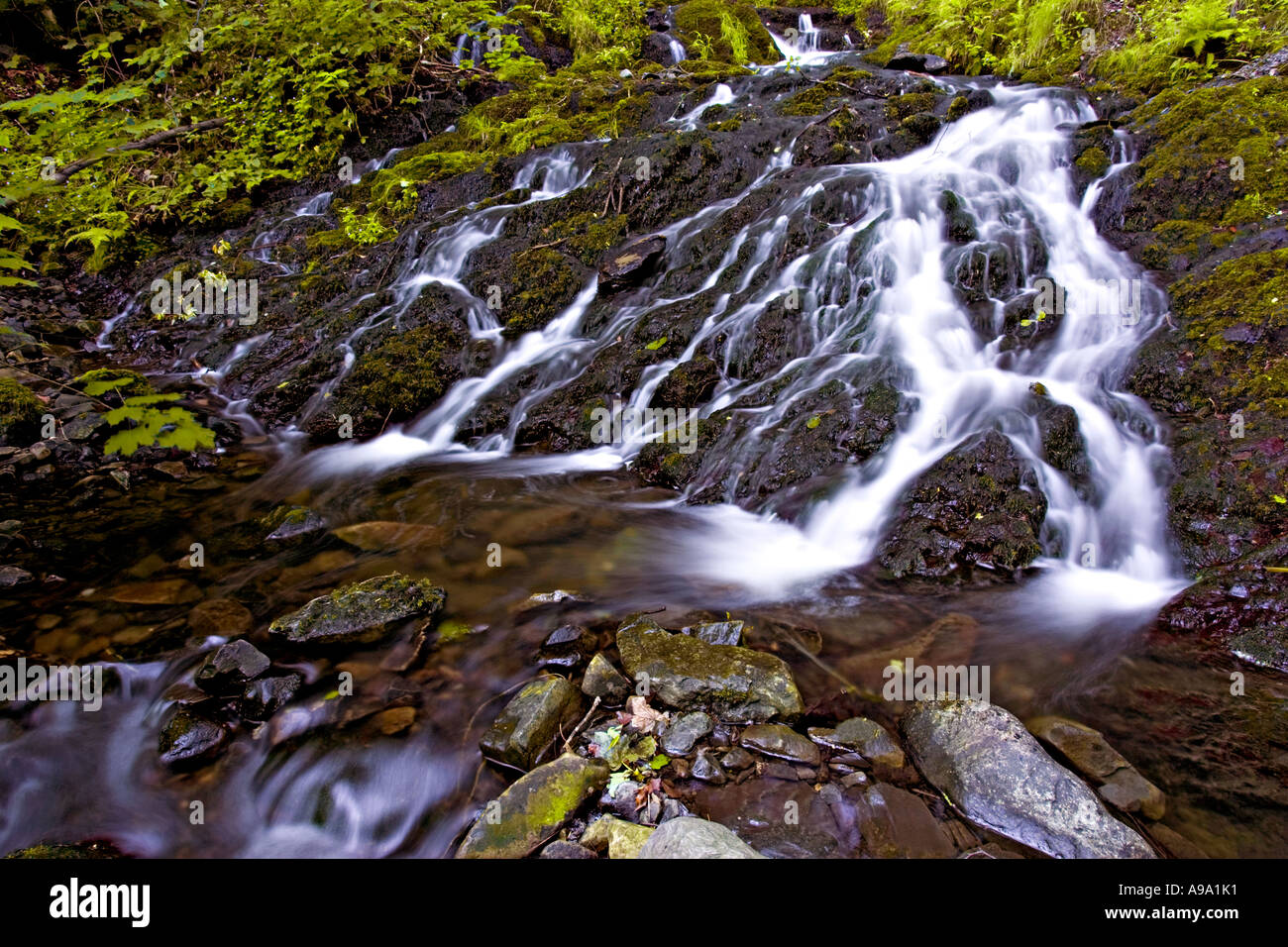 Small Waterfall Shape Of A Man On The Shoreline Of Lake Windermere Near ...