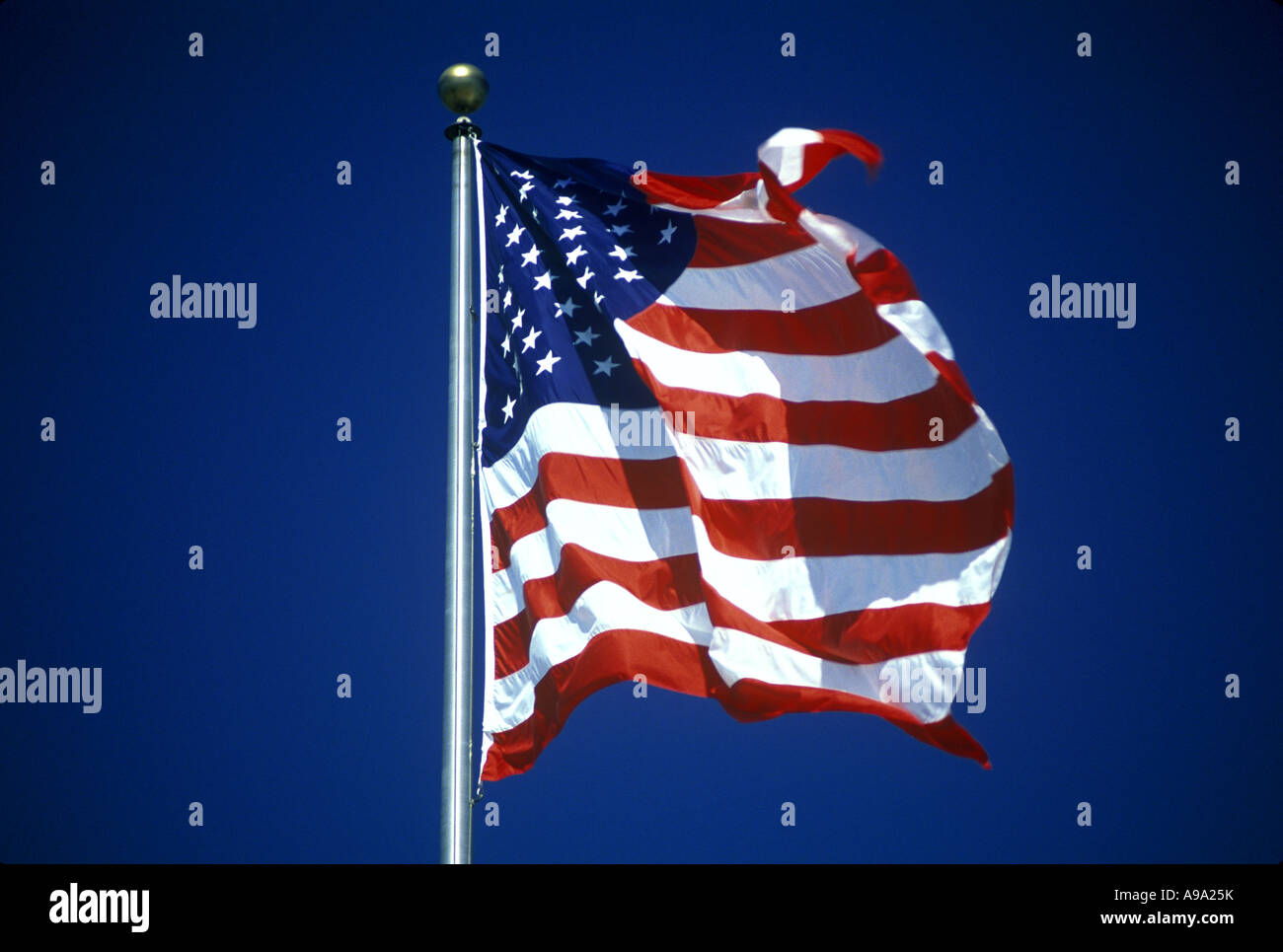 Flag of united states hi-res stock photography and images - Alamy