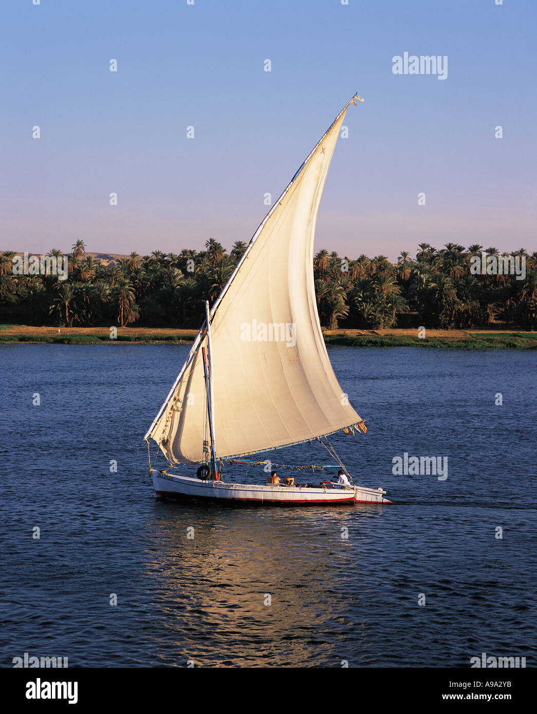 The traditional Nile sailing boat the felucca sailing on the Nile near ...