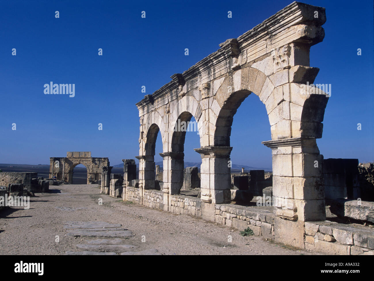 The house of Columns in the Decumanus Maximus at the Roman City of ...