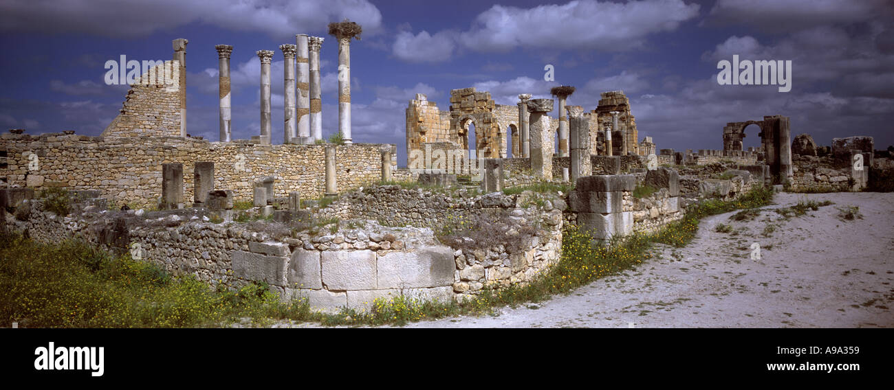 The Capitol and Basilica at the Roman ruins oF Volubilis Morocco Stock ...