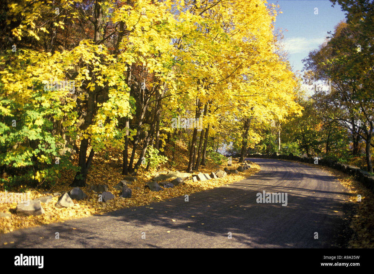 FALL FOLIAGE CURVED ROAD NEW YORK STATE USA Stock Photo - Alamy