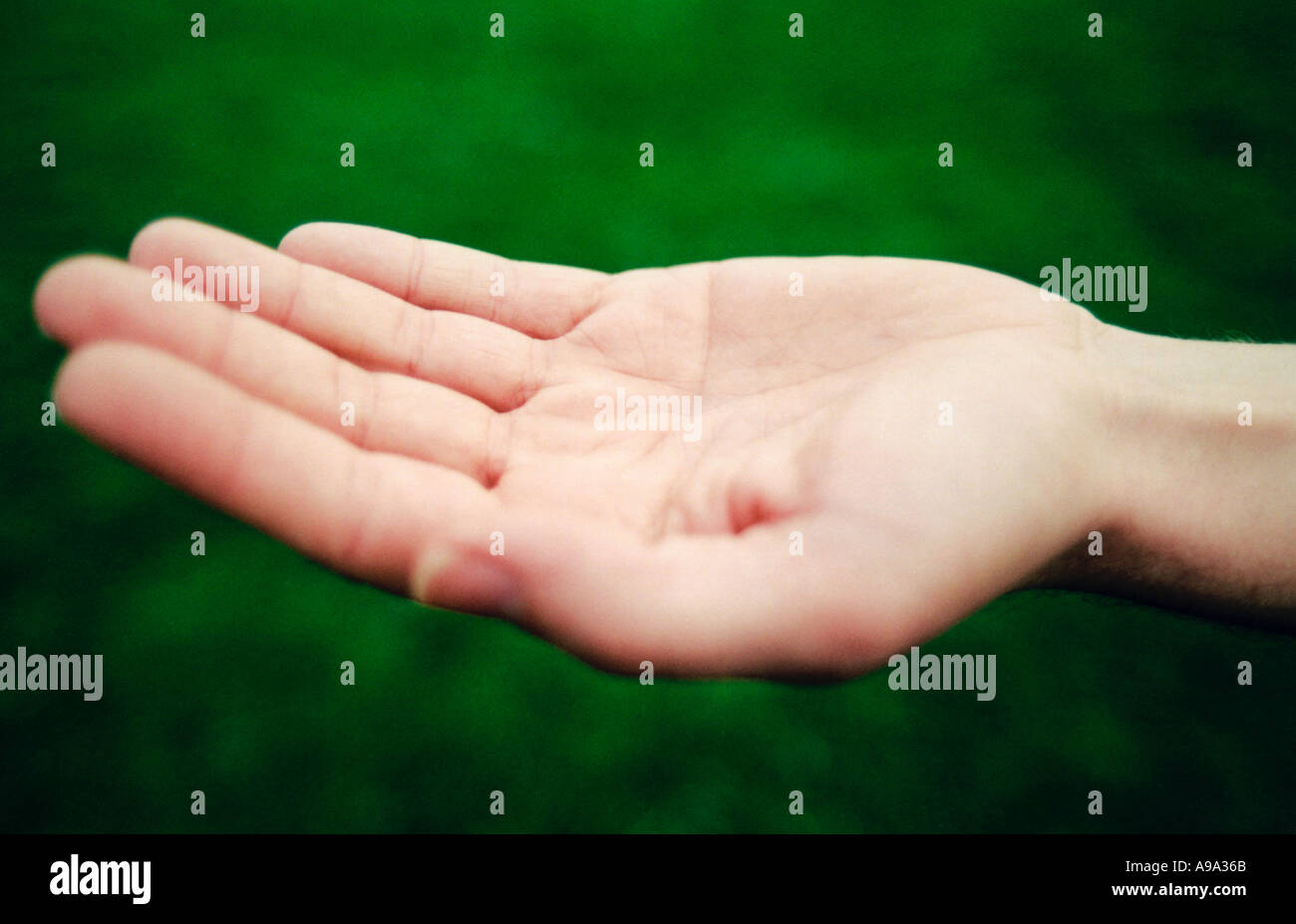 Grease my palm hi-res stock photography and images - Alamy