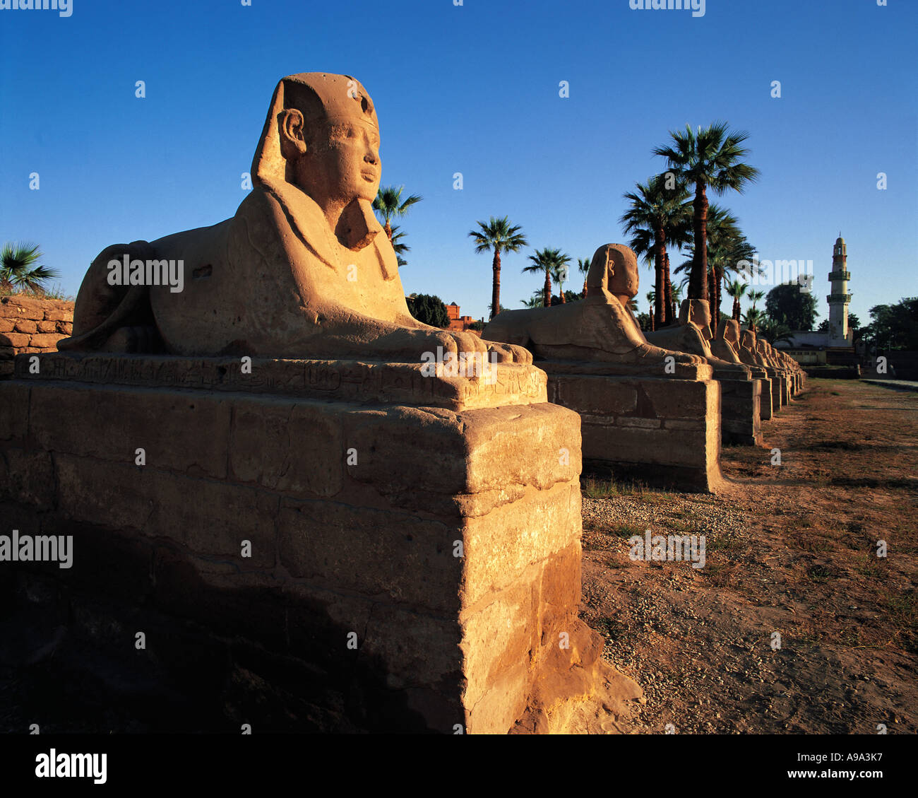Avenue of the Sphinxes Luxor temple Egypt Stock Photo - Alamy