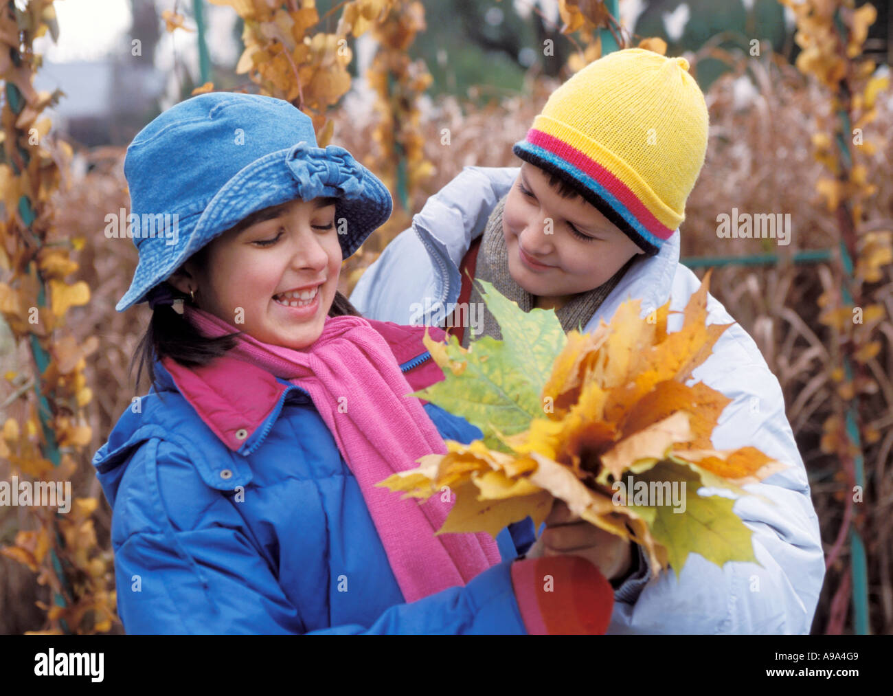 Boy giving leaves to girl Stock Photo - Alamy