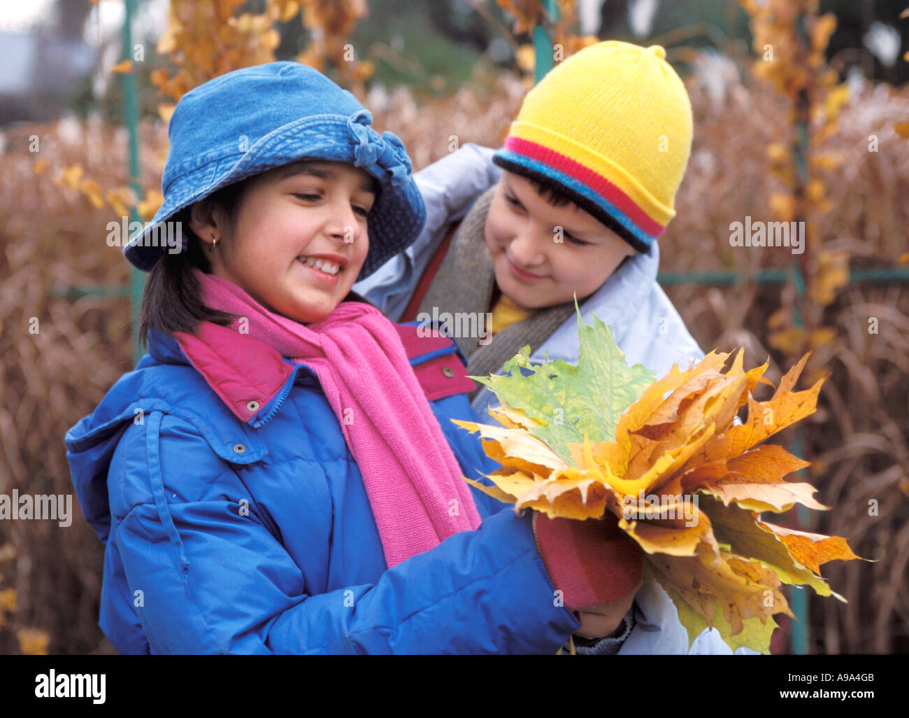 Boy giving leaves to girl Stock Photo - Alamy