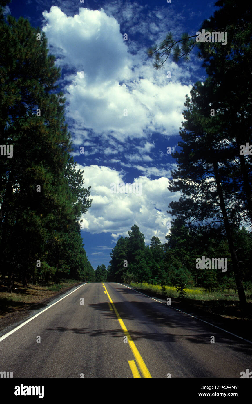 OPEN ROAD SEDONA ARIZONA USA Stock Photo - Alamy