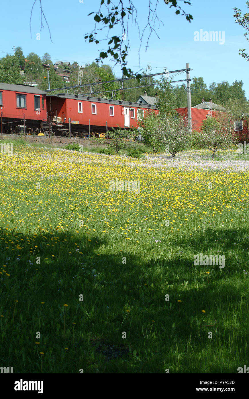 Old Railway Carriages Voss Station Norway Stock Photo - Alamy