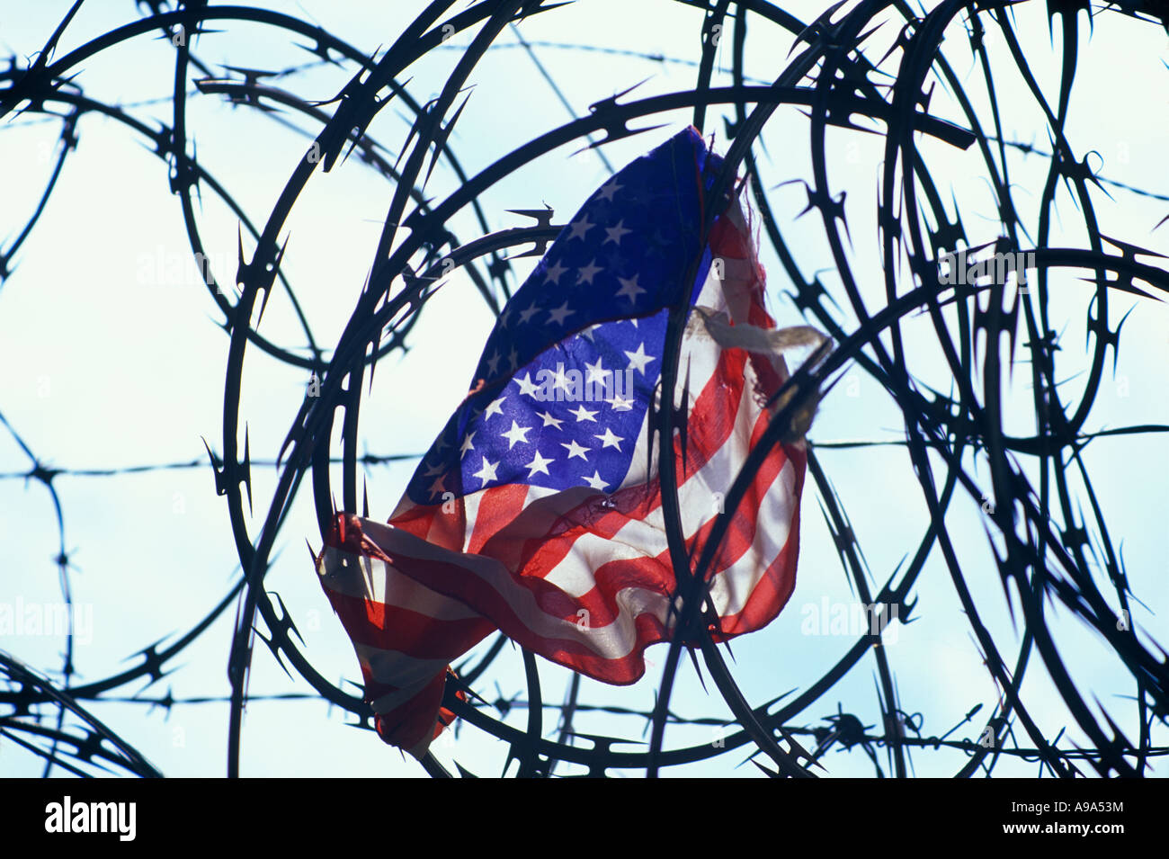UNITED STATES FLAG CAUGHT IN BARBED WIRE Stock Photo - Alamy