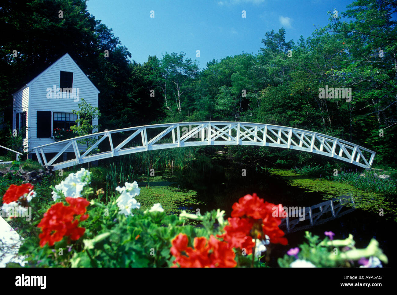 Footbridge Pond Maine High Resolution Stock Photography and Images - Alamy