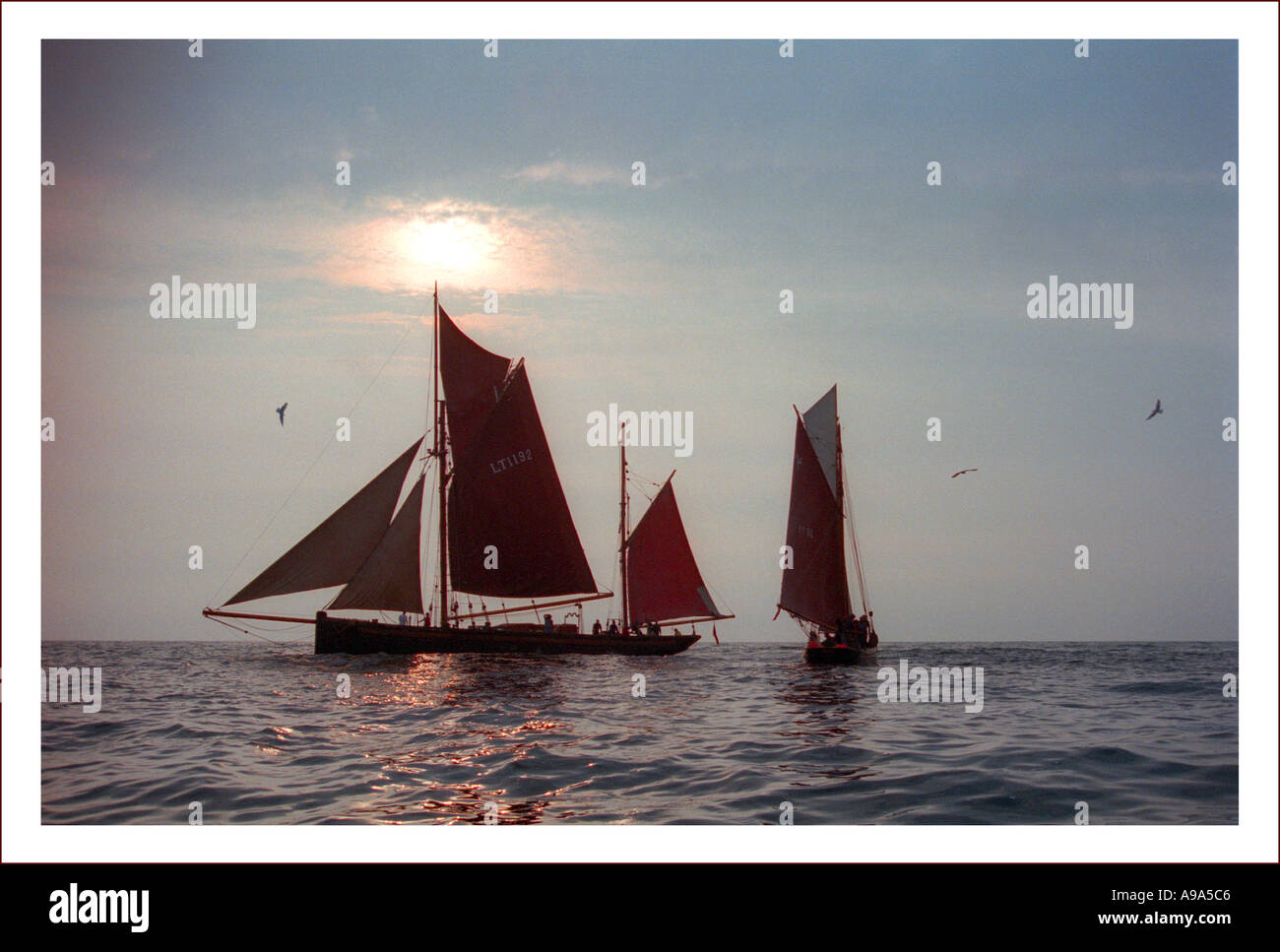 Traditional herring-fishing sailing boats ,part of fishing fleet,used ...