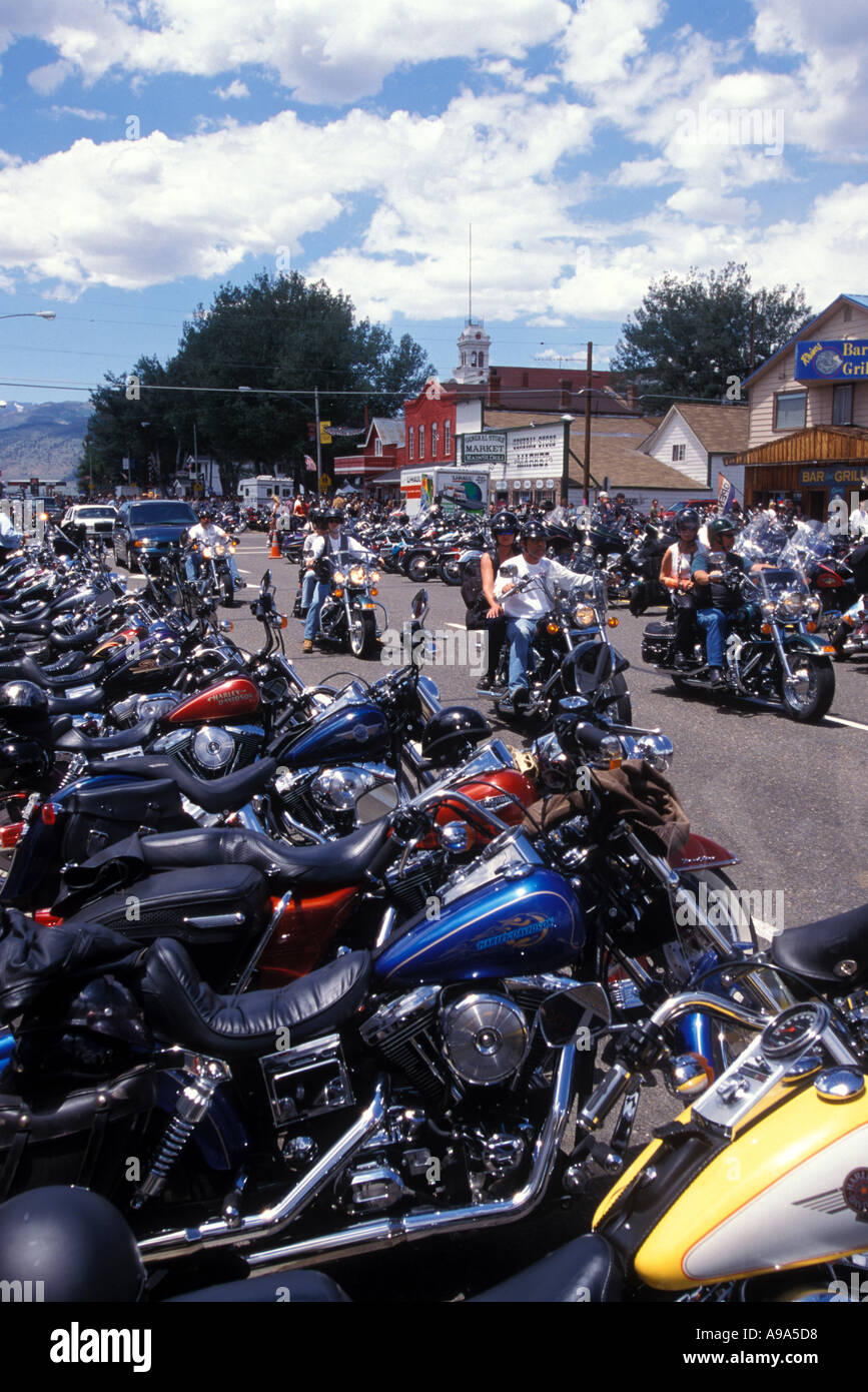 Harley Davidson motorcycle jamboree in Bridgeport California Stock ...