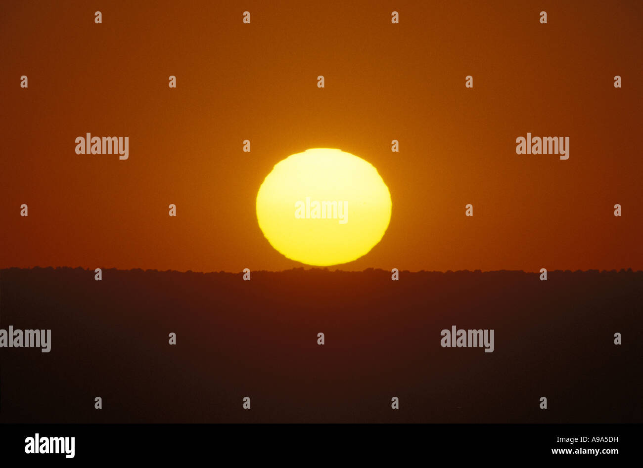 VERY LARGE SUN IN ORANGE SKY OVER FLAT LAND HORIZON Stock Photo - Alamy