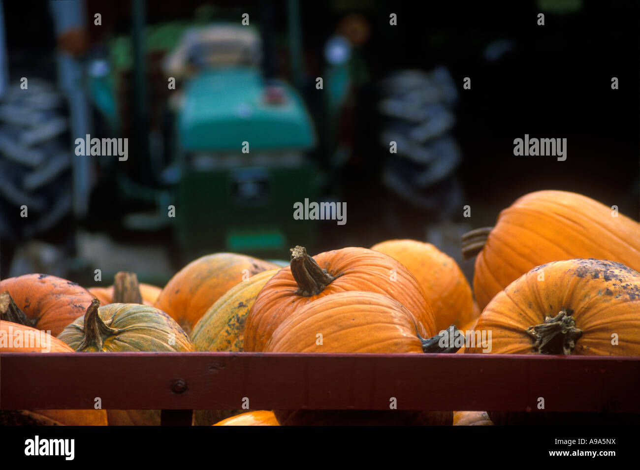 Hazen store hi-res stock photography and images - Alamy