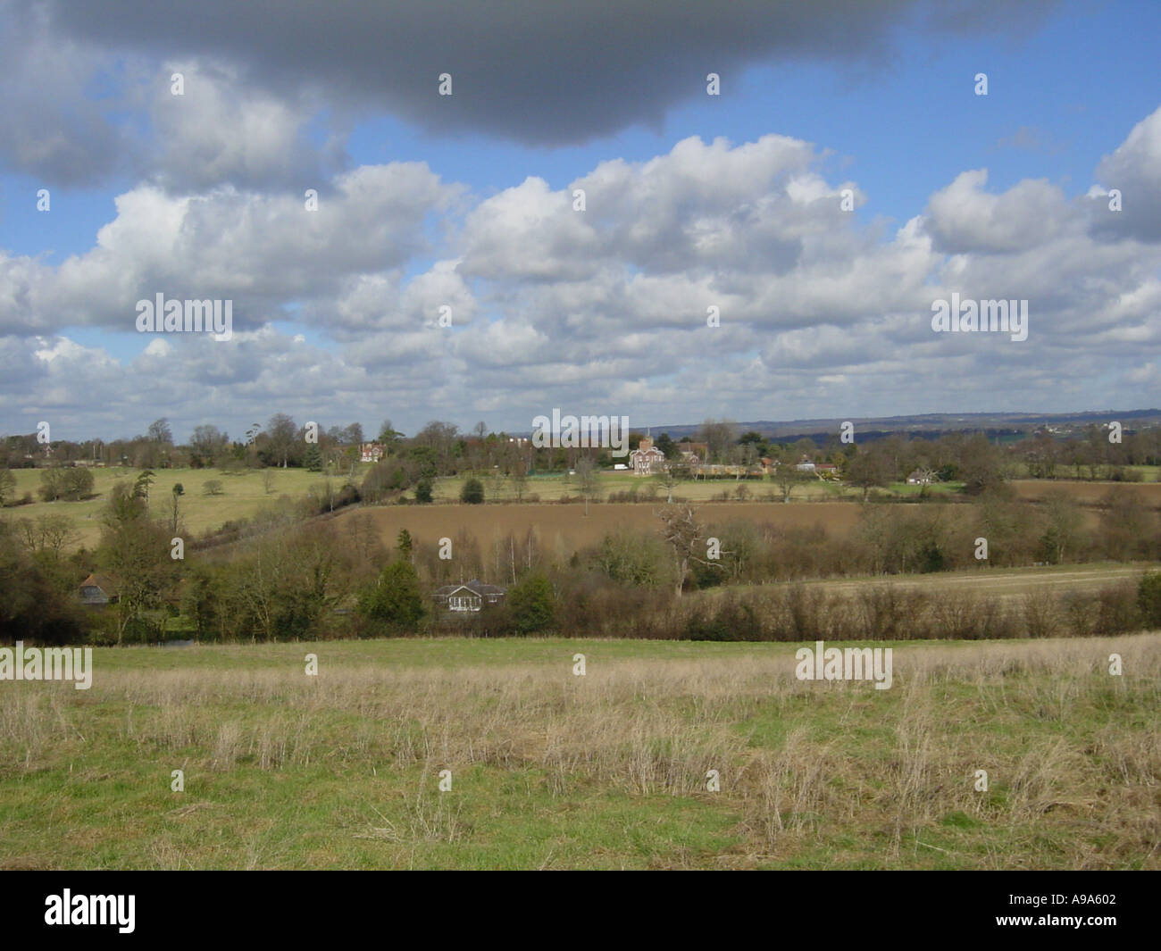 Newick hi-res stock photography and images - Alamy