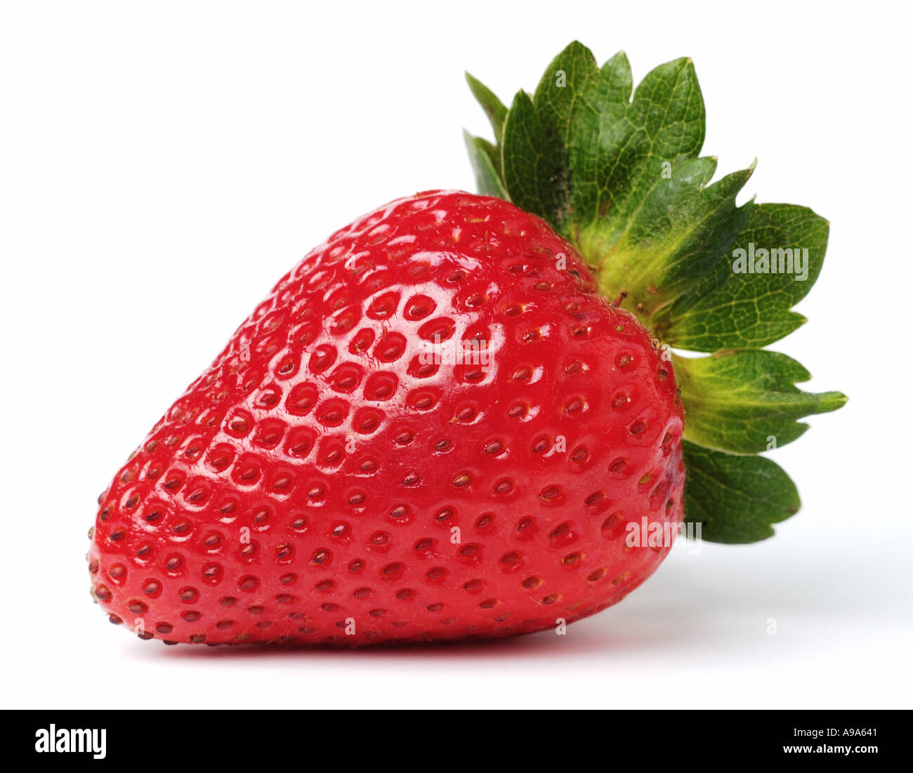 Outline strawberry Cut Out Stock Images & Pictures - Alamy