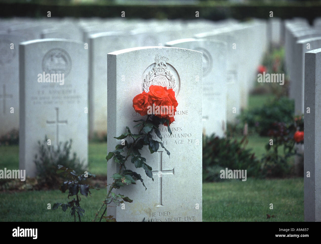 grave at the British war cemetery normandy Stock Photo - Alamy