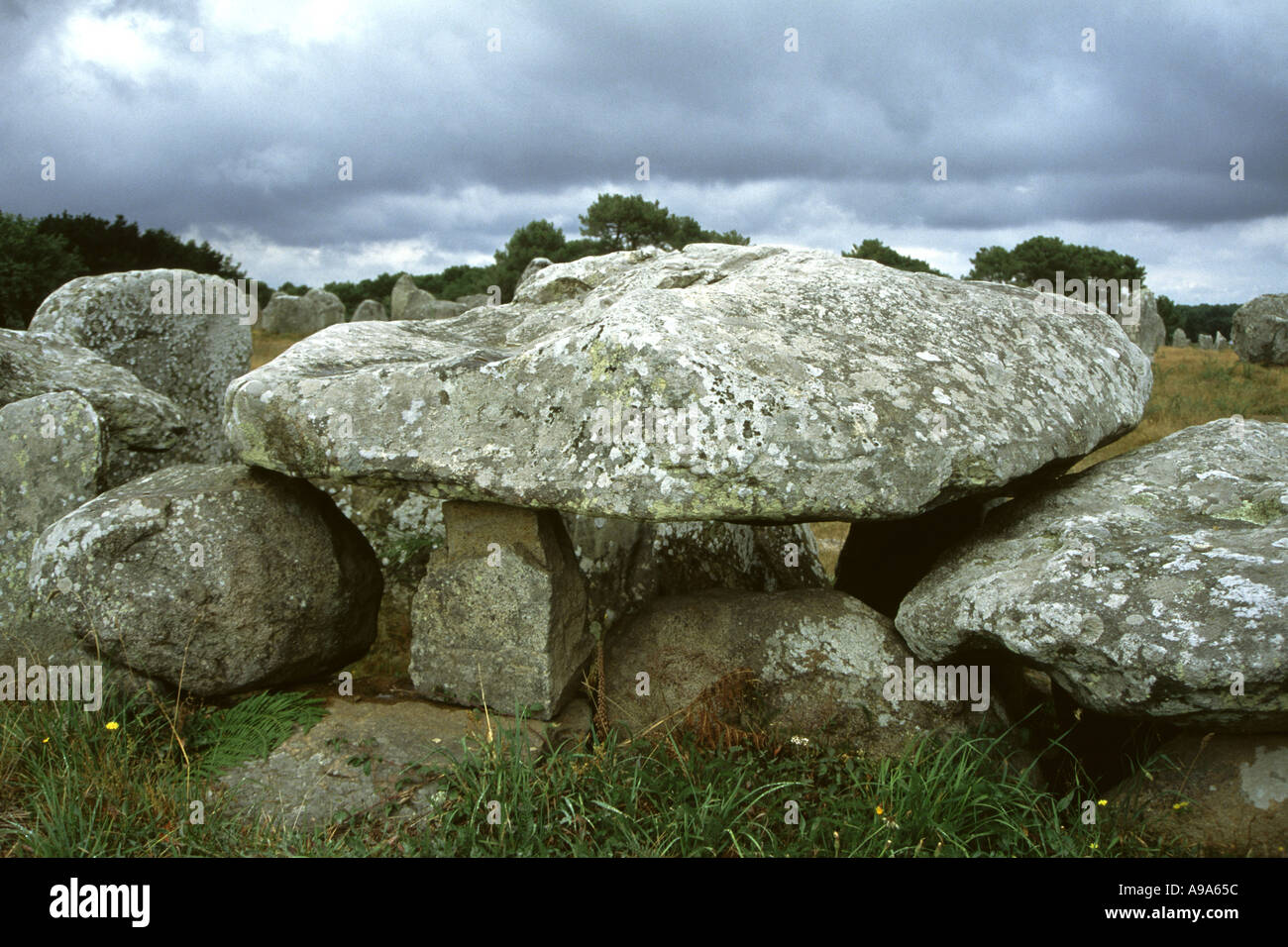 Alignment of standing stones at Carnac in Brittany Stock Photo - Alamy