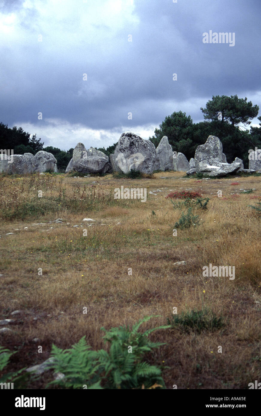 International alignment hi-res stock photography and images - Alamy