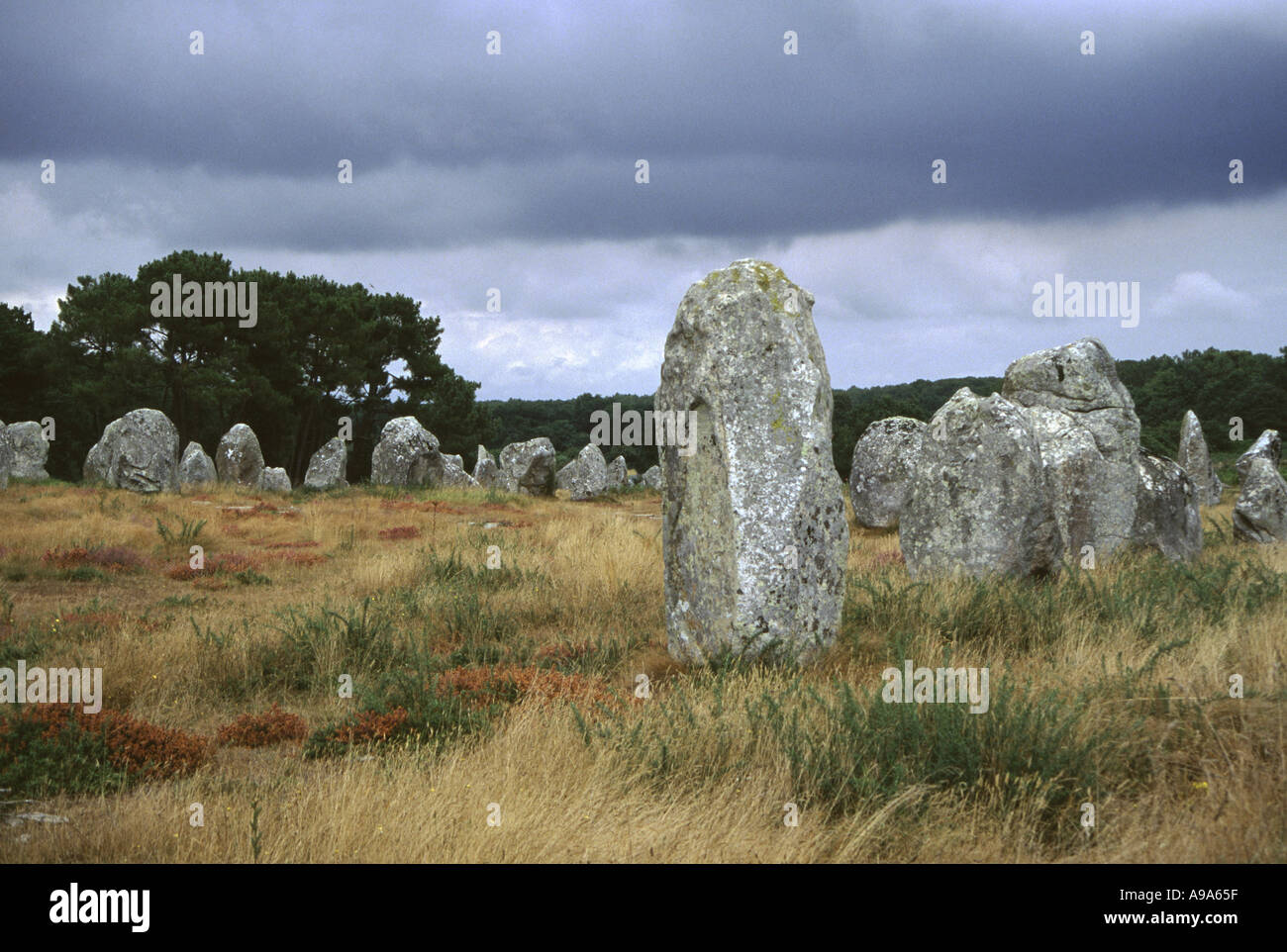 Alignment of standing stones at Carnac in Brittany Stock Photo - Alamy
