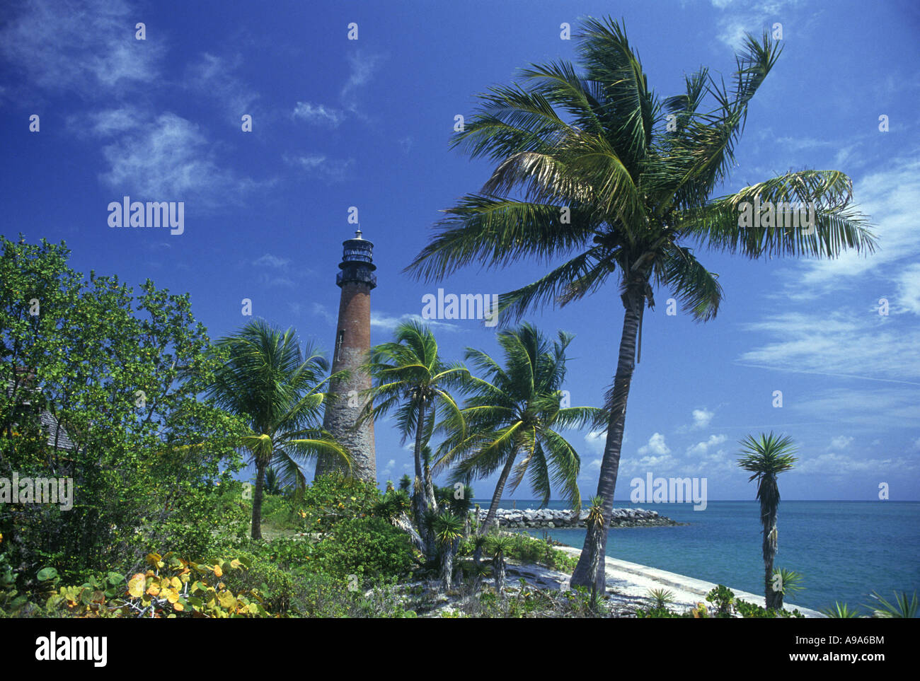 PALM TREES KEY BISCAYNE LIGHTHOUSE BILL BAGGS CAPE FLORIDA STATE PARK ...