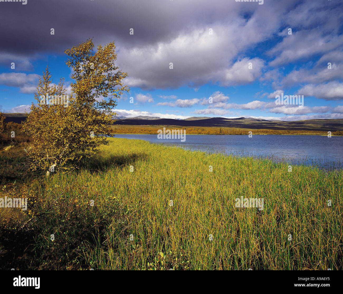 Lake and hills in the low lying sub arctic region of Dovrefjell Norway ...