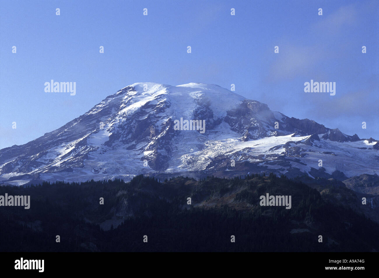 Ranier national park hi-res stock photography and images - Alamy