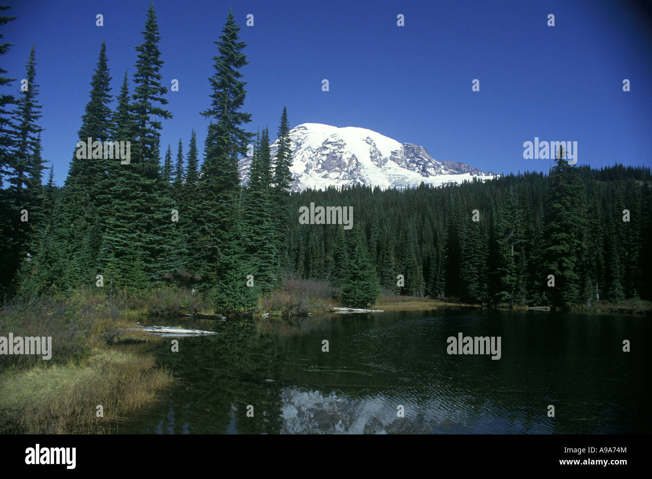 MOUNT RANIER FROM REFLECTION LAKE RANIER NATIONAL PARK WASHINGTON USA ...