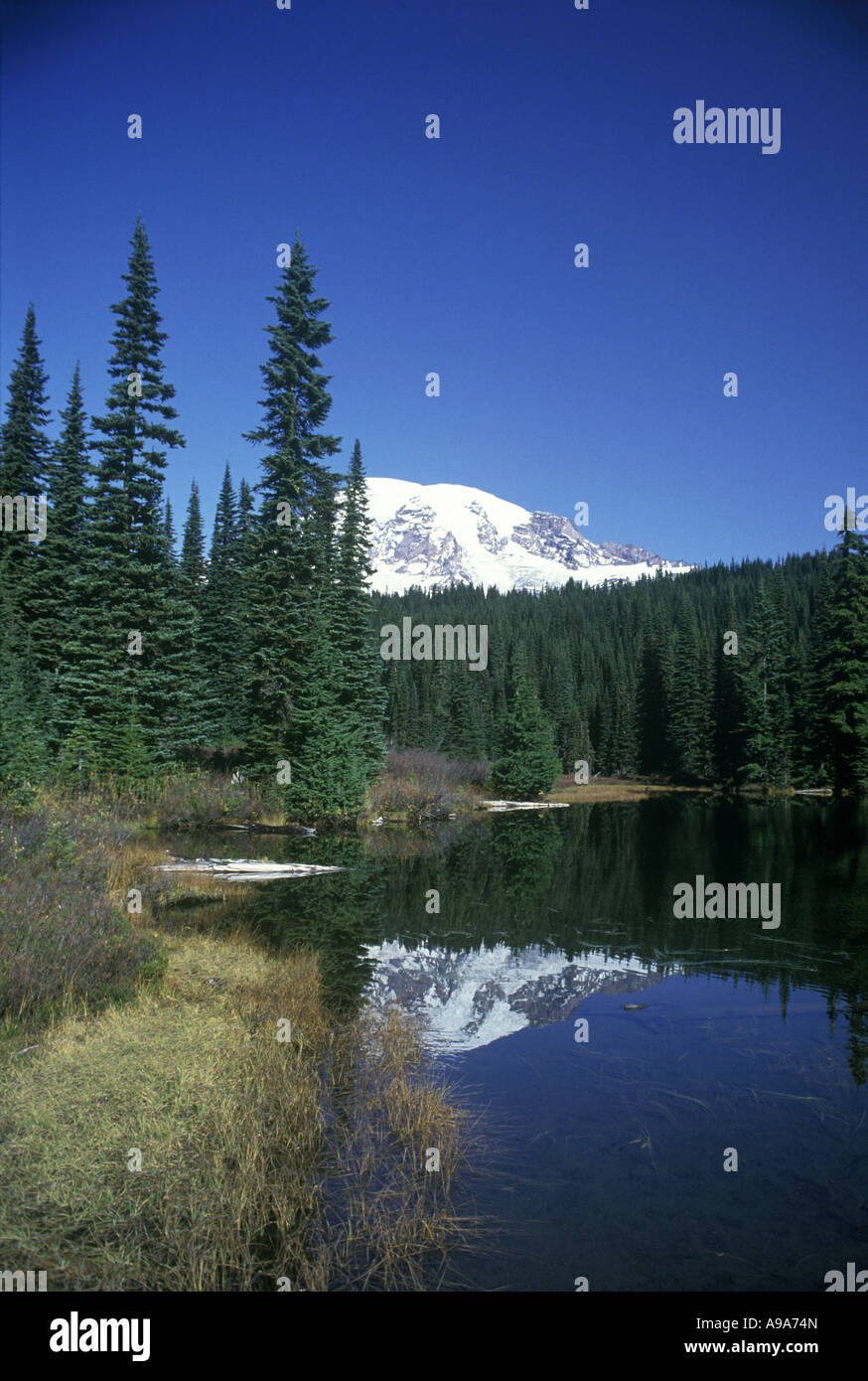 MOUNT RANIER FROM REFLECTION LAKE RANIER NATIONAL PARK WASHINGTON USA ...