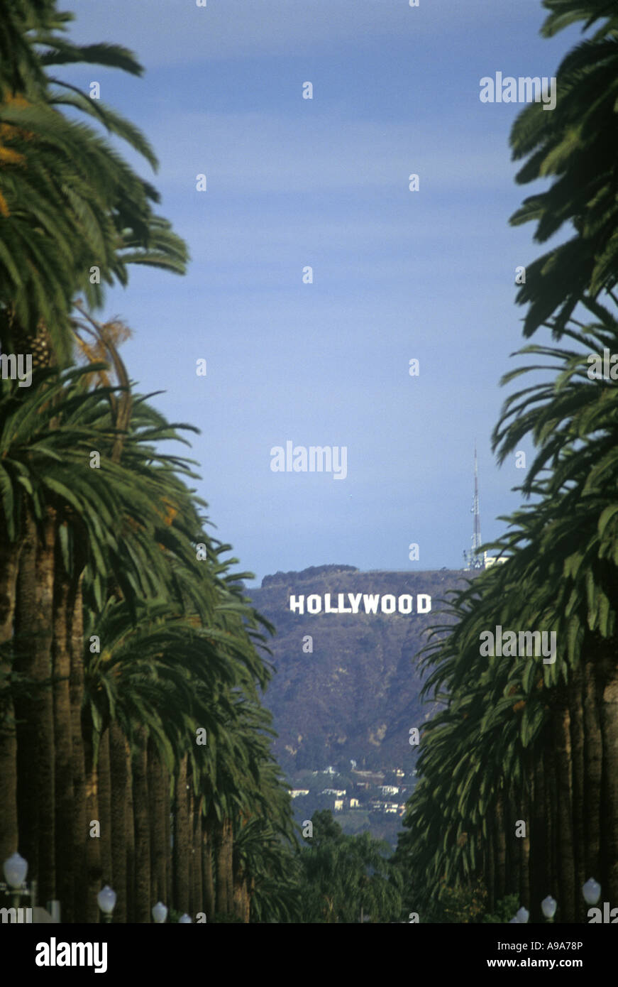 Hollywood Sign Palm Trees High Resolution Stock Photography and Images ...