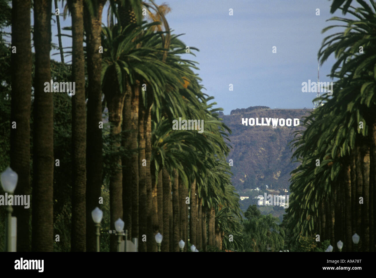 Hollywood Sign Palm Trees High Resolution Stock Photography and Images ...