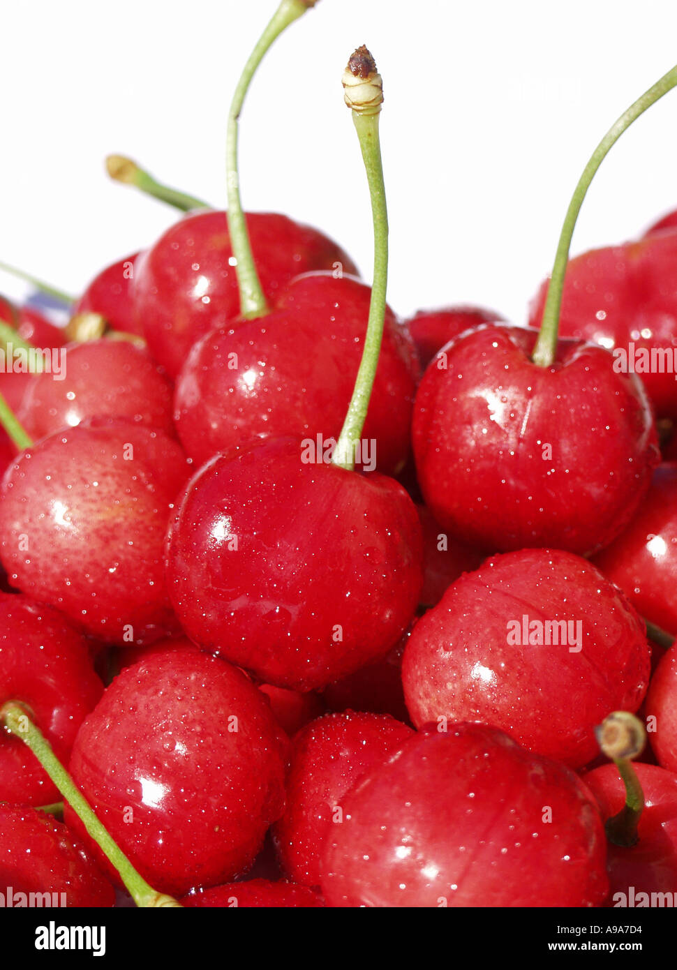 Close up cherries water Cut Out Stock Images & Pictures - Alamy