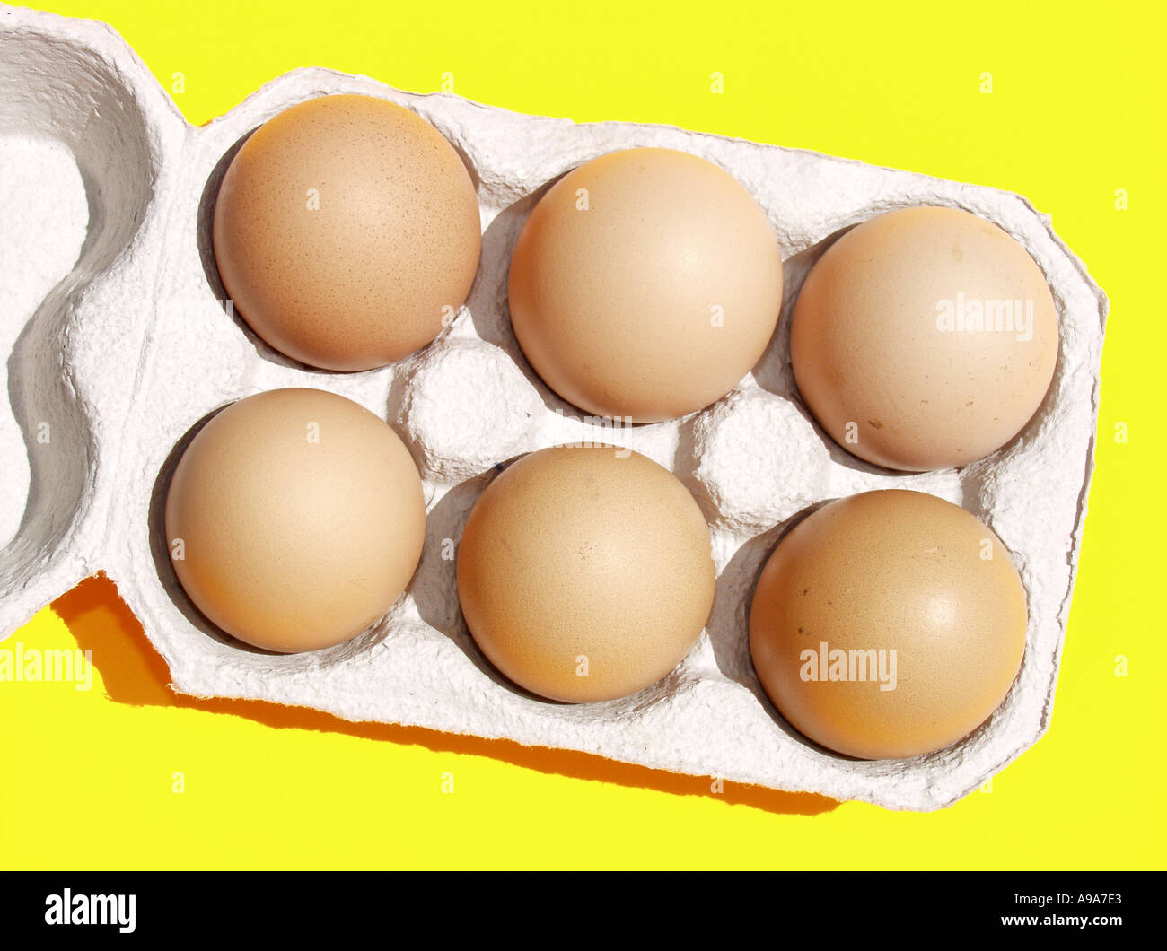Colour of a hens egg shell hi-res stock photography and images - Alamy
