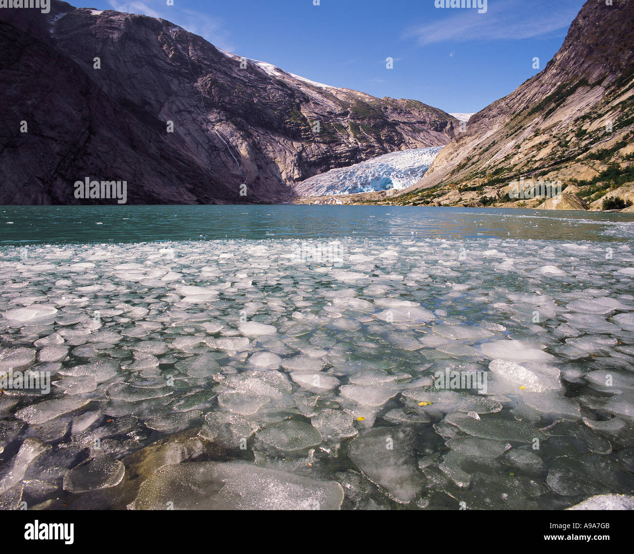 Ice floats in the Nigardsbreen glacial lake below the Nigardsbreen ...