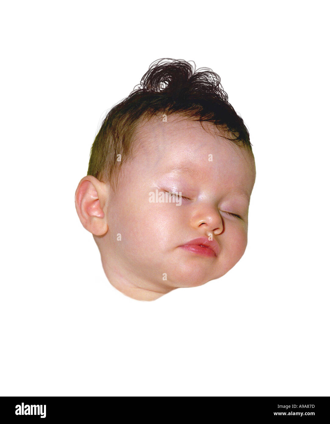 Nap of the land Cut Out Stock Images & Pictures - Alamy