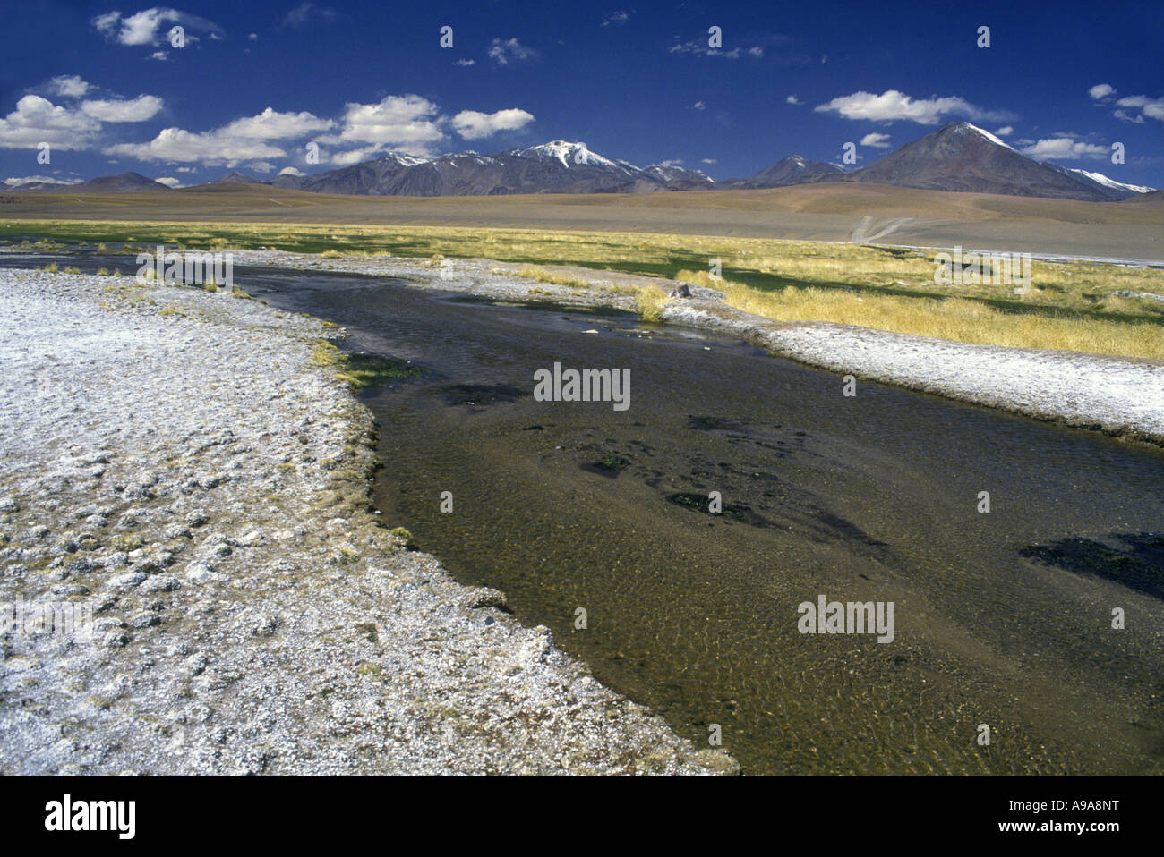 Putana hi-res stock photography and images - Alamy