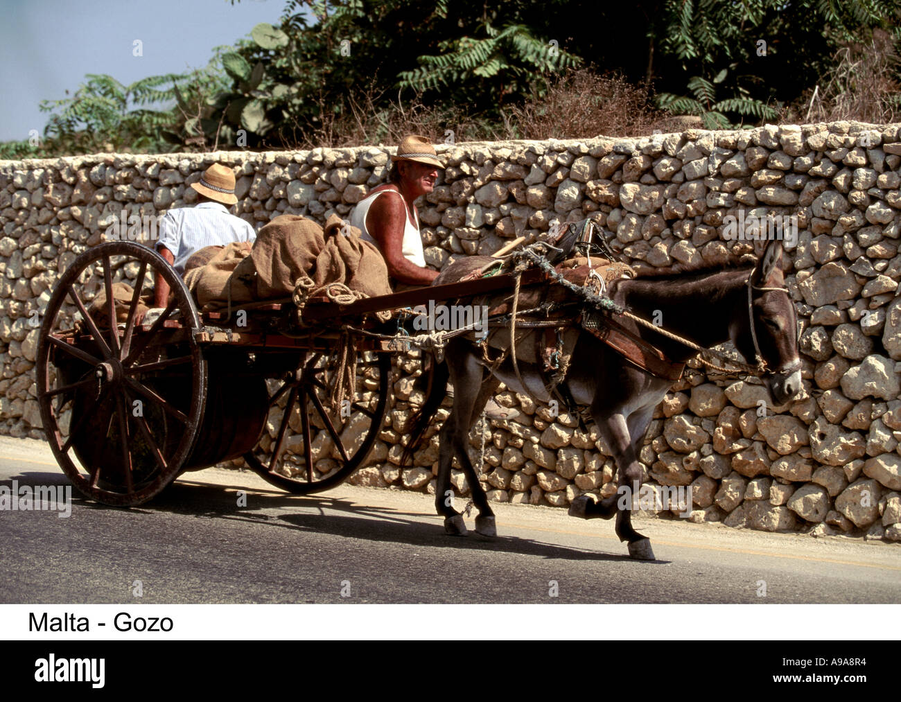 Malta people donkey hi-res stock photography and images - Alamy