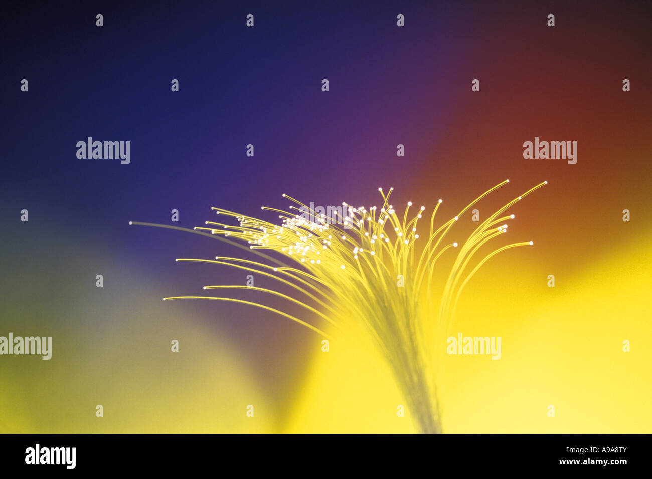 LIT TIPS OF FIBER OPTIC STRANDS (©KECK MAURER & SCHULTZ / CORNING GLASS ...