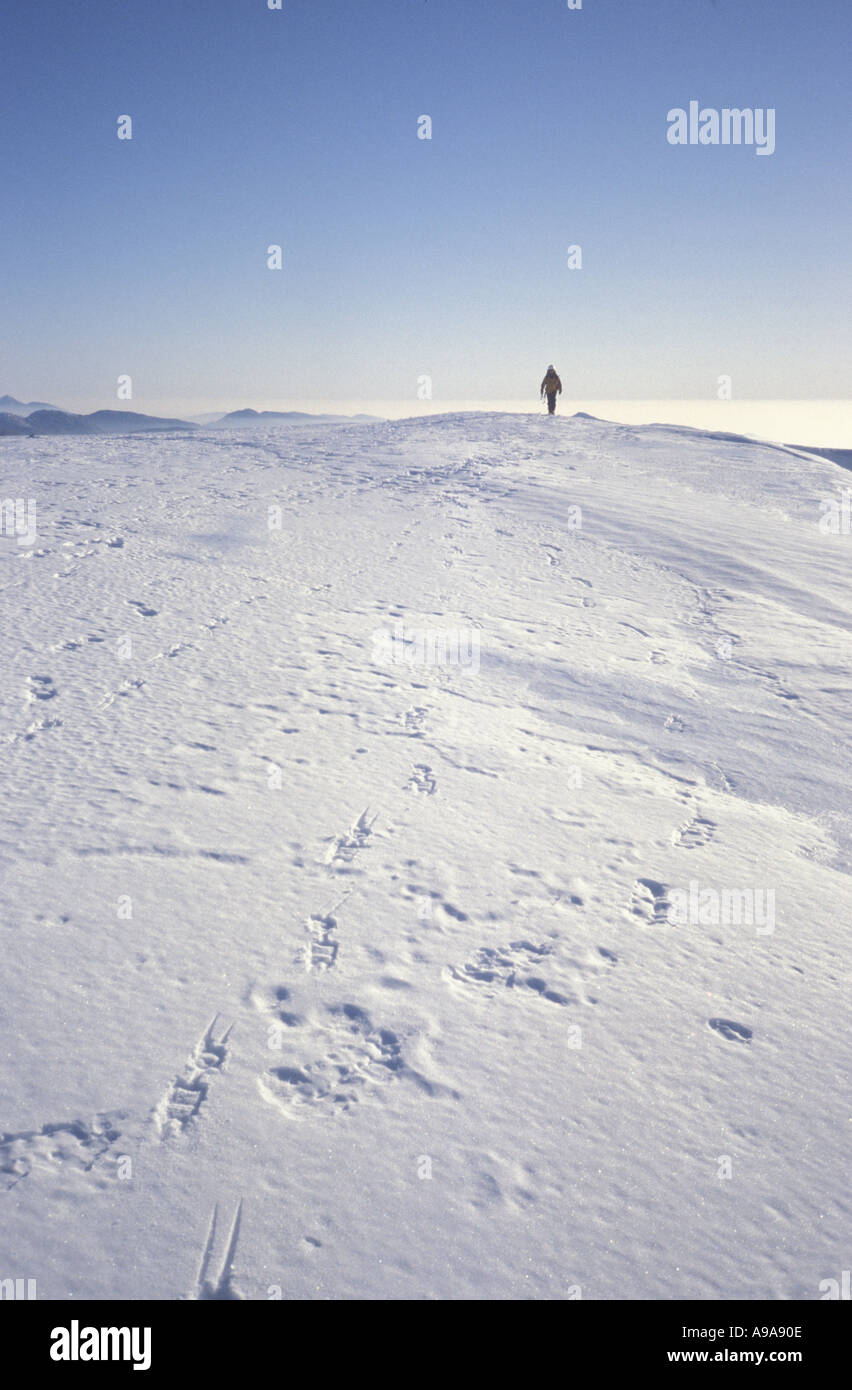Tower ridge ben nevis hi-res stock photography and images - Alamy