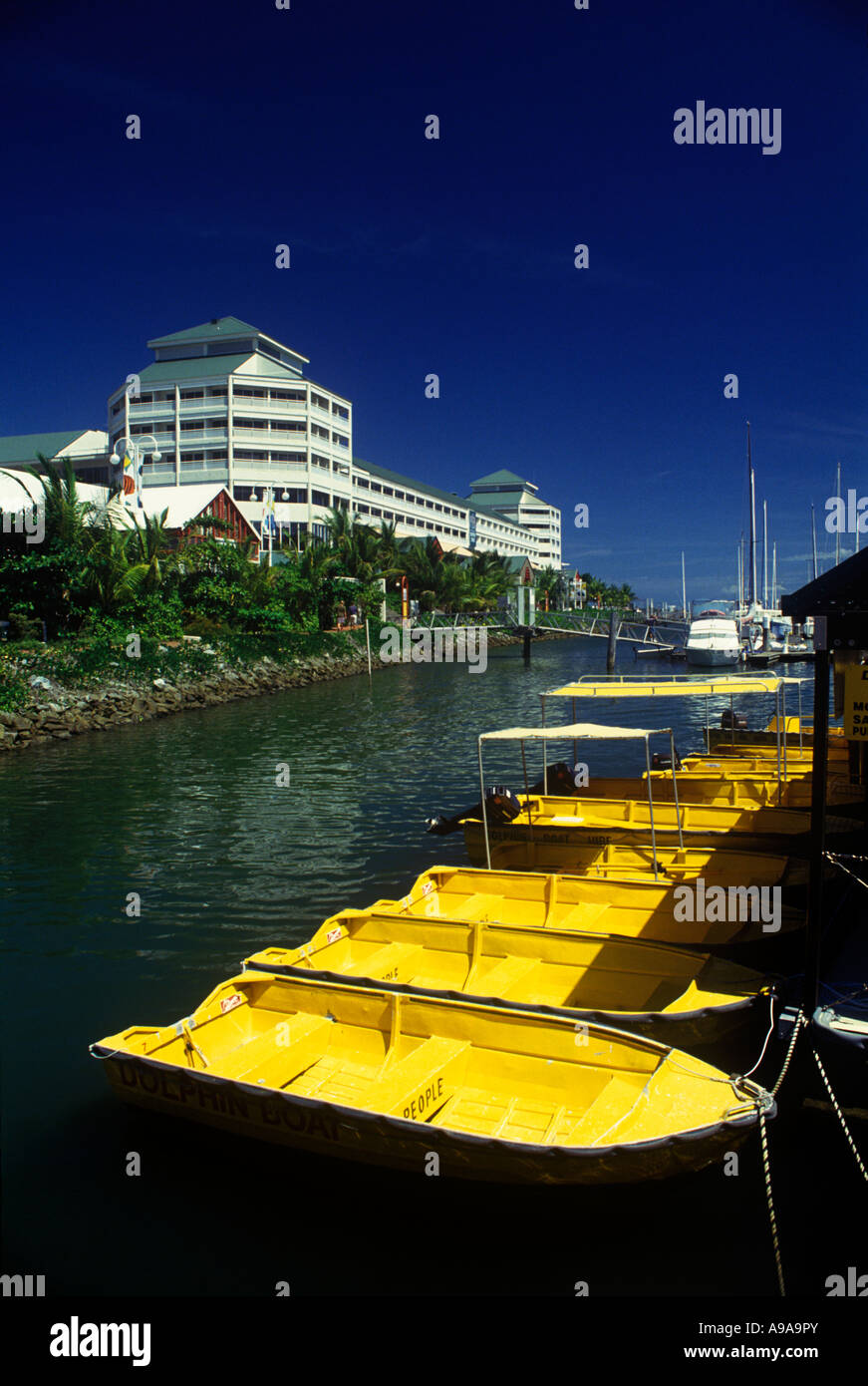 YELLOW DINGYS MARLIN JETTY CAIRNS NORTH QUEENSLAND AUSTRALIA Stock ...